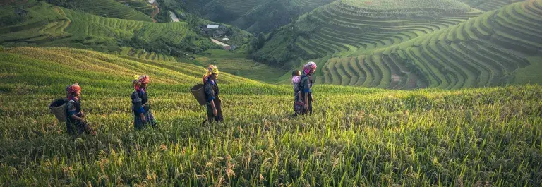 Living income and gender: adopting gender transformative approaches to ...