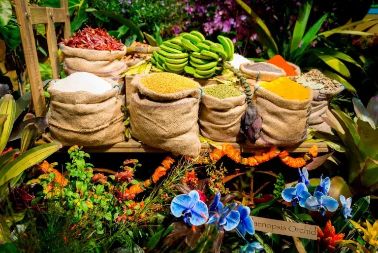 Living wage commitments: how are leading companies progressing? | ISEAL ...