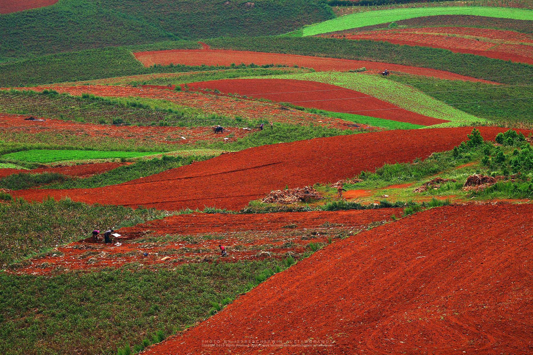 New position paper highlights the importance of landscape monitoring ...