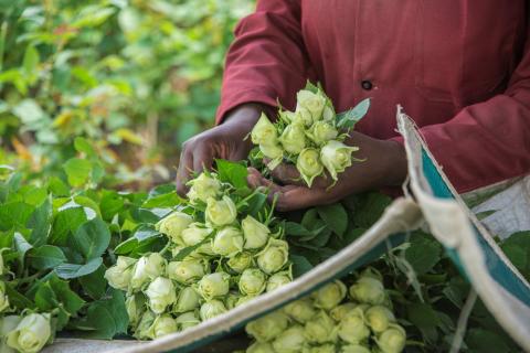 What makes a credible living wage claim? | ISEAL Alliance