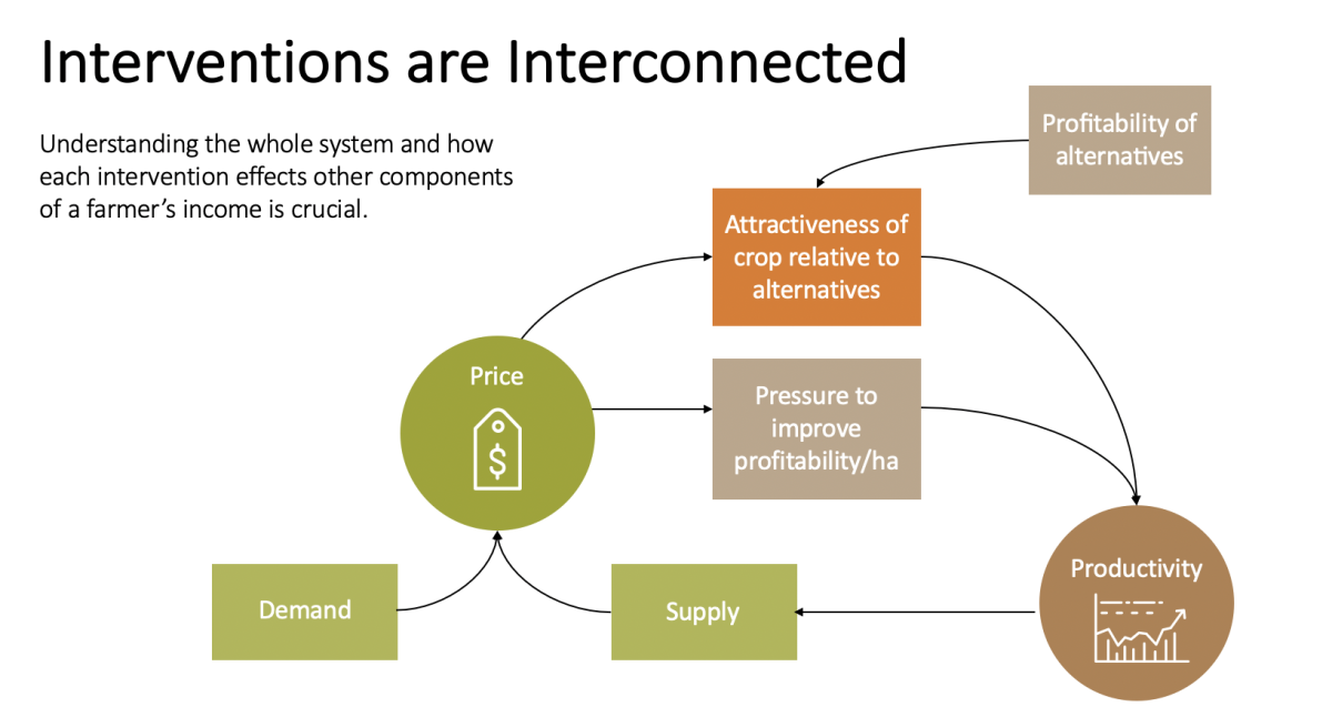 Empowering action towards improved livelihoods | ISEAL Alliance